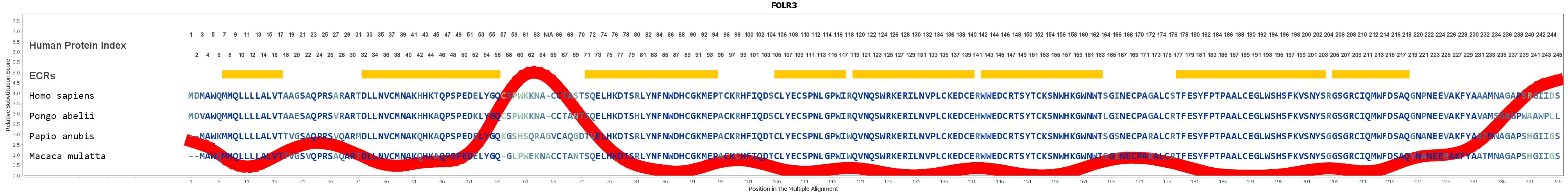 FOLR3 Gene - GeneCards | FOLR3 Protein | FOLR3 Antibody