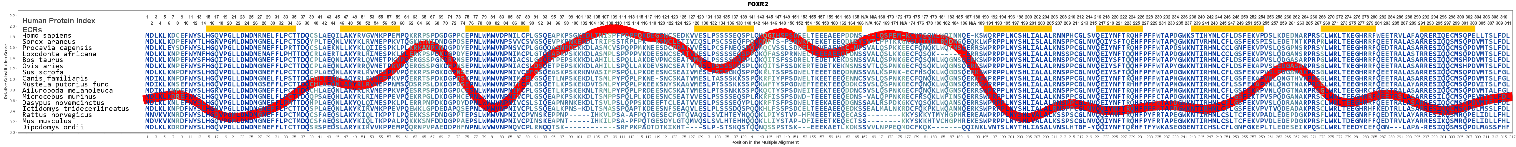 FOXR2 Gene - GeneCards | FOXR2 Protein | FOXR2 Antibody