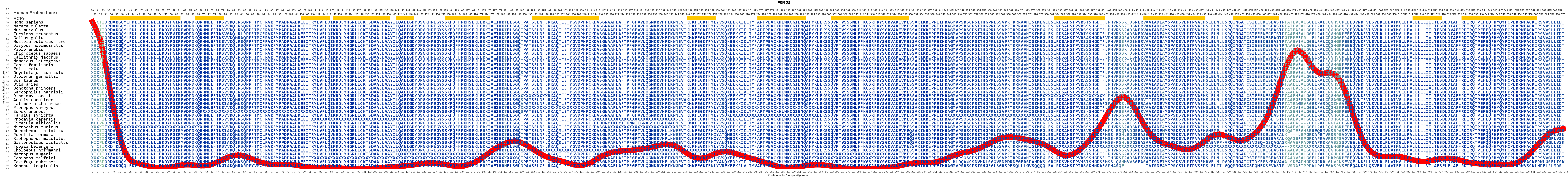 FRMD5 Gene - GeneCards | FRMD5 Protein | FRMD5 Antibody