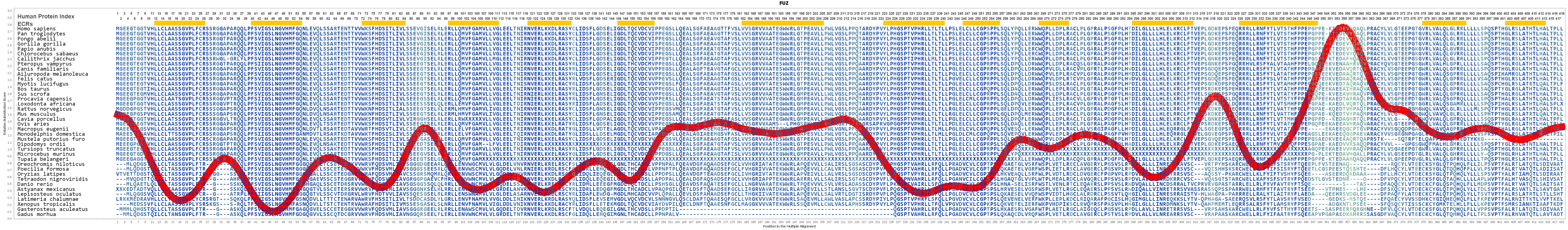 FUZ Gene - GeneCards | FUZZY Protein | FUZZY Antibody