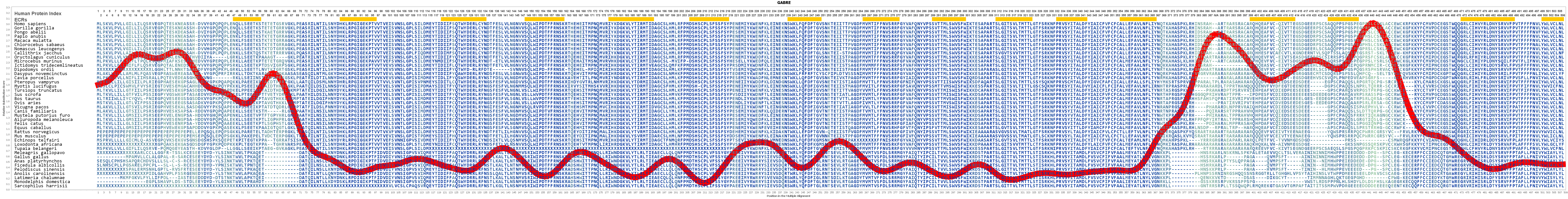 GABRE Gene - GeneCards | GBRE Protein | GBRE Antibody