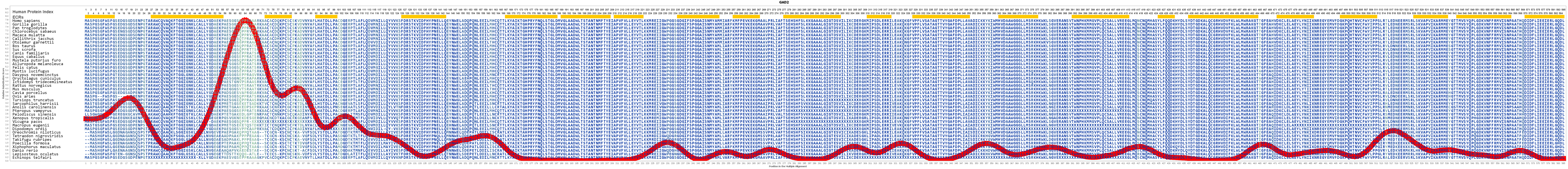 GAD2 Gene - GeneCards | DCE2 Protein | DCE2 Antibody