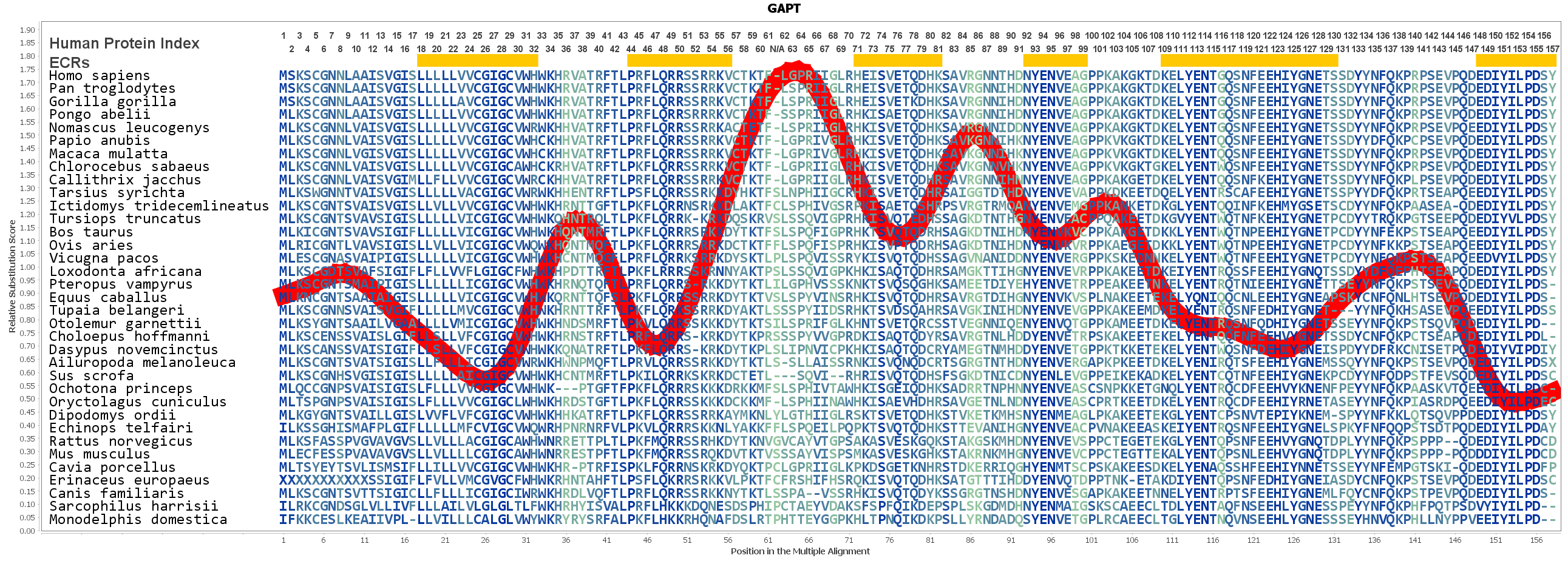 GAPT Gene - GeneCards | GAPT Protein | GAPT Antibody