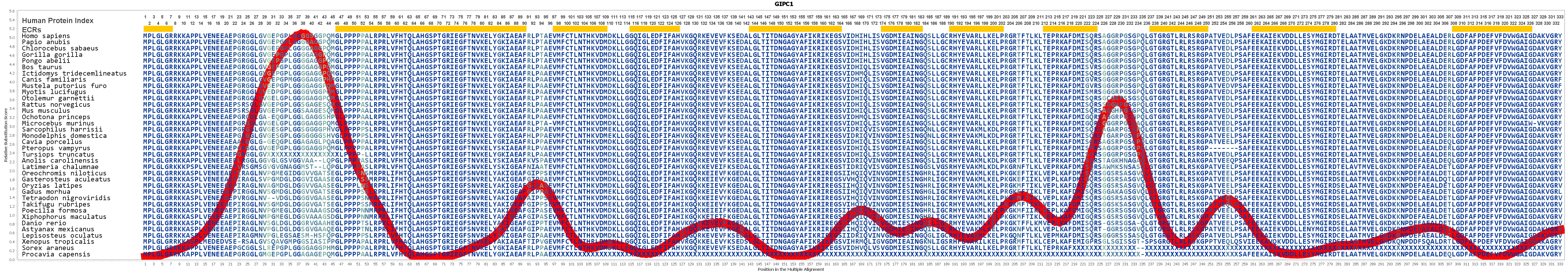 GIPC1 Gene - GeneCards | GIPC1 Protein | GIPC1 Antibody