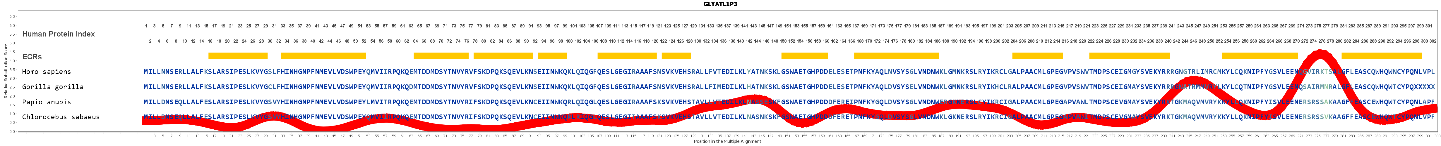 GLYATL1B Gene - GeneCards | GLYLB Protein | GLYLB Antibody