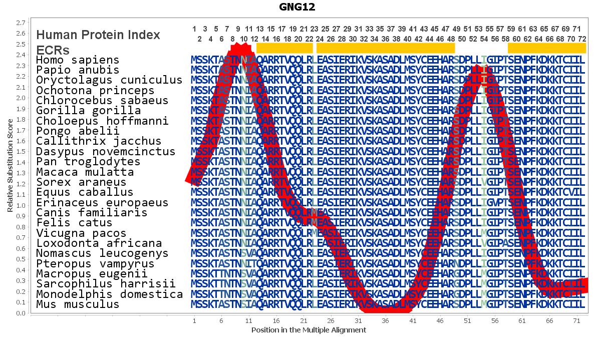 GNG12 Gene - GeneCards | GBG12 Protein | GBG12 Antibody