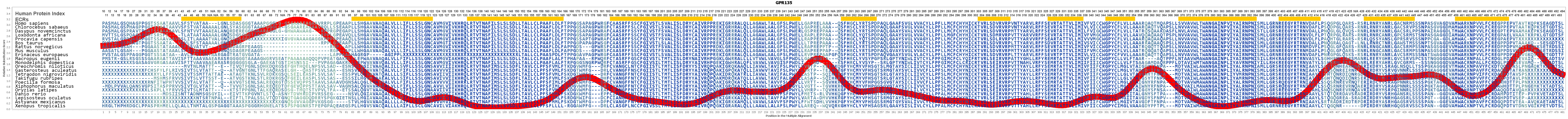 GPR135 Gene - GeneCards | GP135 Protein | GP135 Antibody
