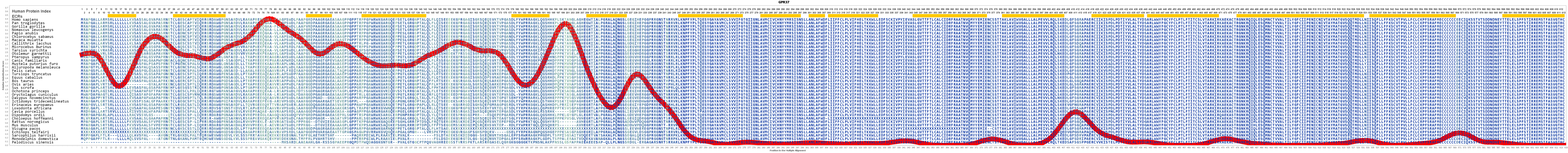 GPR37 Gene - GeneCards | GPR37 Protein | GPR37 Antibody