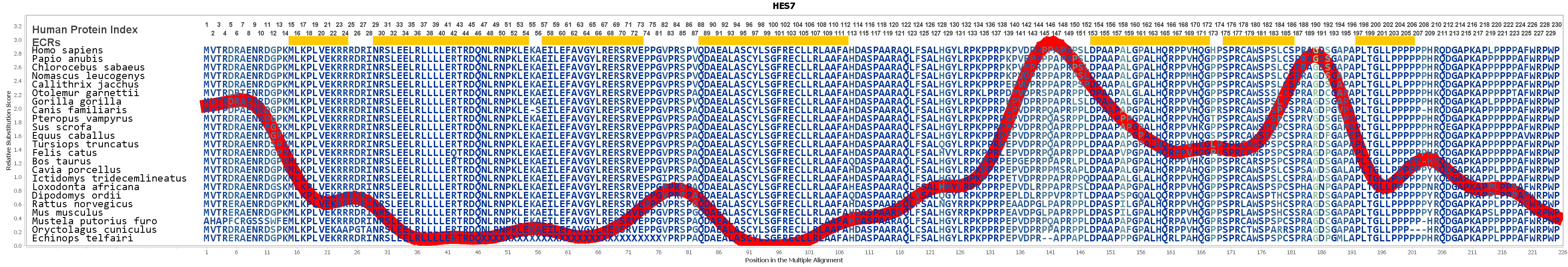 HES7 Gene - GeneCards | HES7 Protein | HES7 Antibody