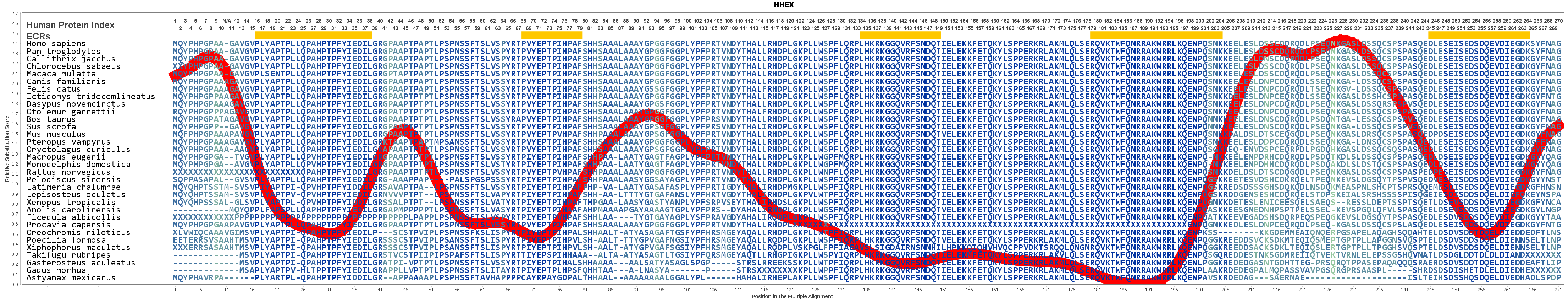 HHEX Gene - GeneCards | HHEX Protein | HHEX Antibody