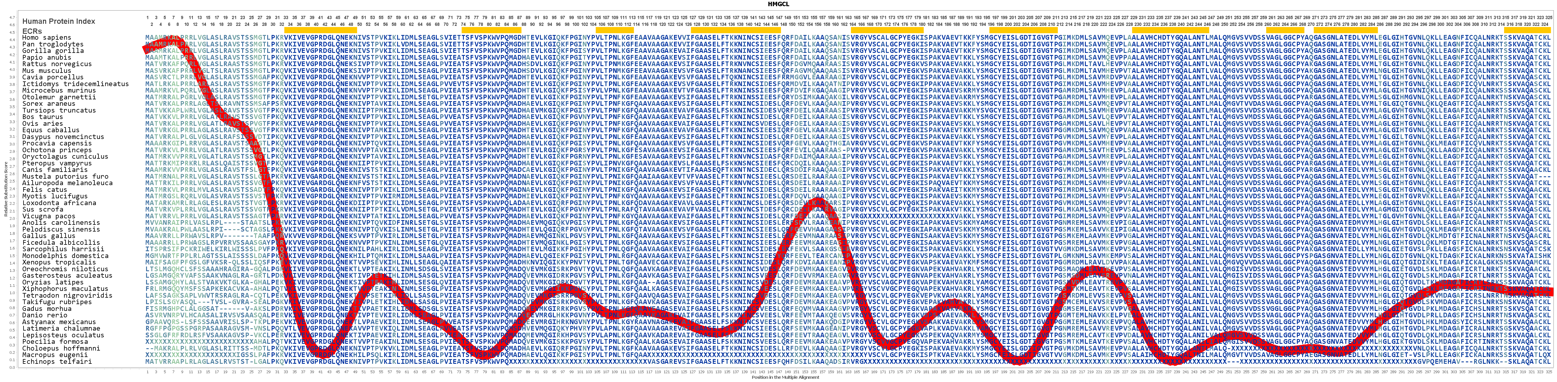 HMGCL Gene - GeneCards | HMGCL Protein | HMGCL Antibody