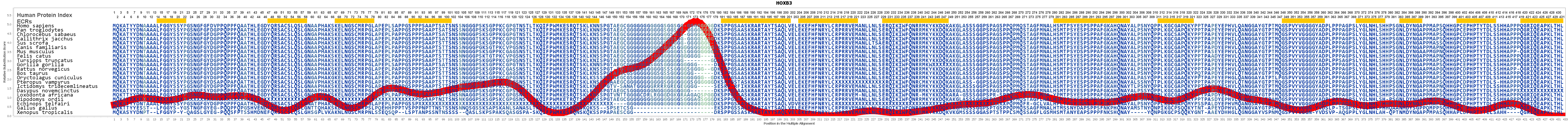 HOXB3 Gene - GeneCards | HXB3 Protein | HXB3 Antibody