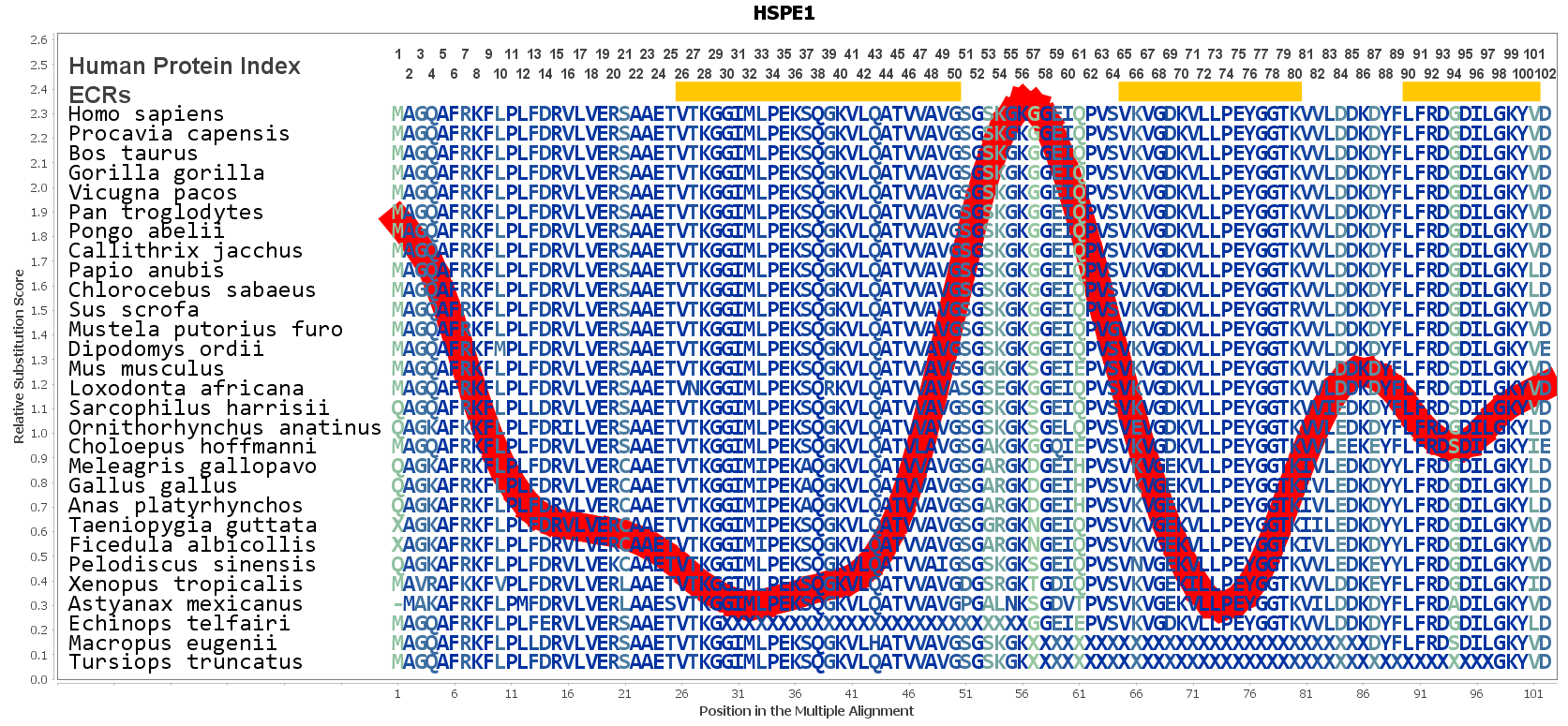 HSPE1 Gene - GeneCards | CH10 Protein | CH10 Antibody