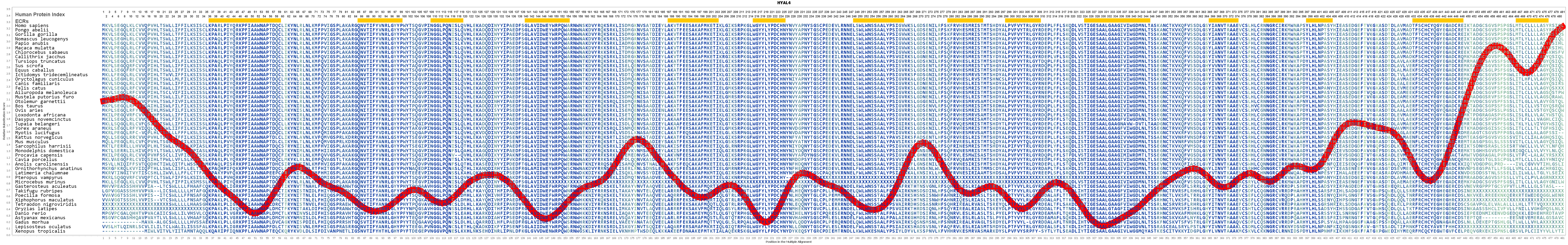 HYAL4 Gene - GeneCards | HYAL4 Protein | HYAL4 Antibody