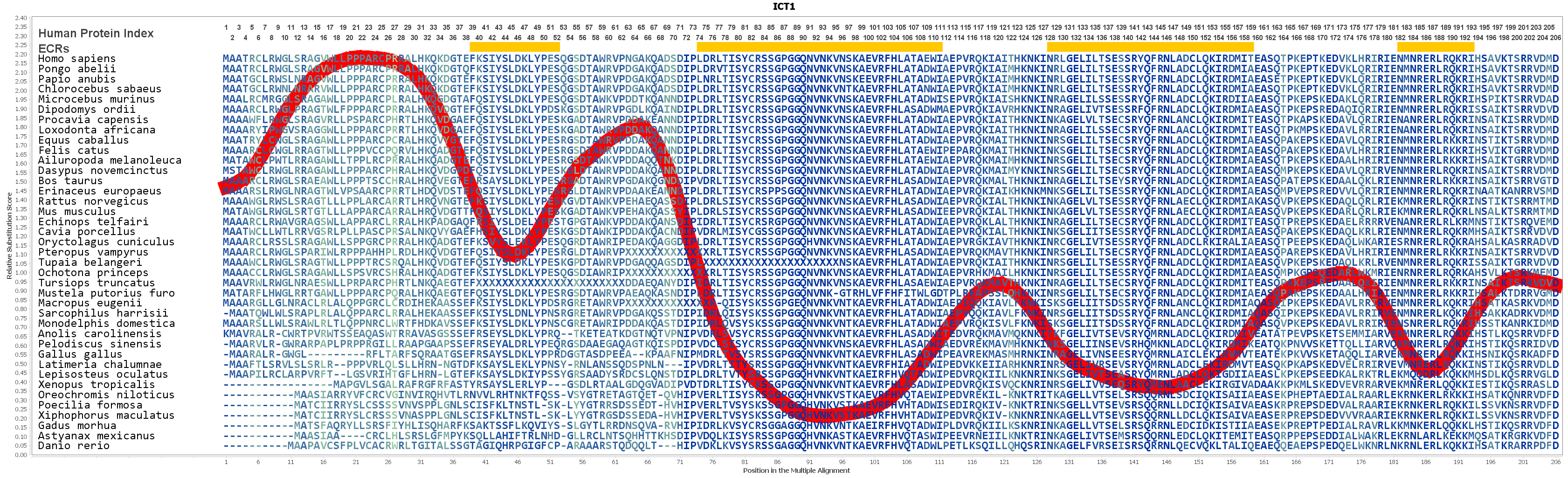 MRPL58 Gene - GeneCards | ICT1 Protein | ICT1 Antibody