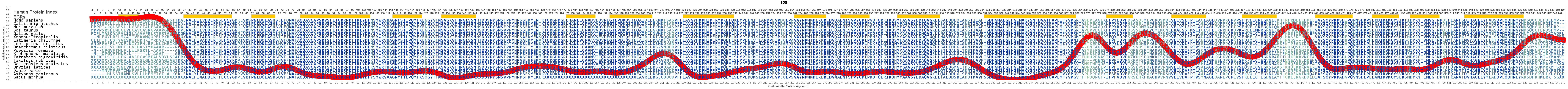 IDS Gene - GeneCards | IDS Protein | IDS Antibody