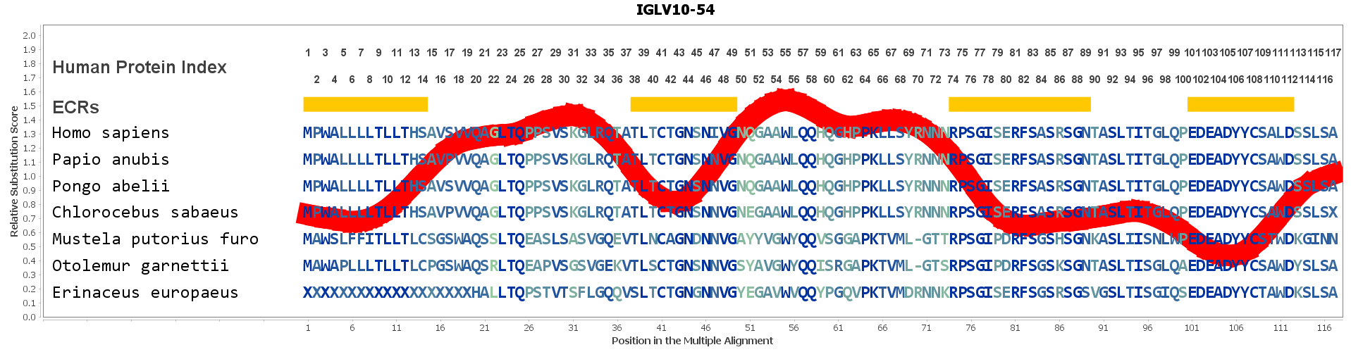 IGLV10-54 Gene - GeneCards | LVX54 Protein | LVX54 Antibody