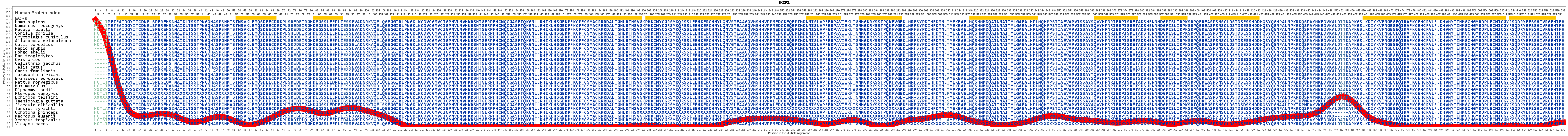 IKZF2 Gene - GeneCards | IKZF2 Protein | IKZF2 Antibody