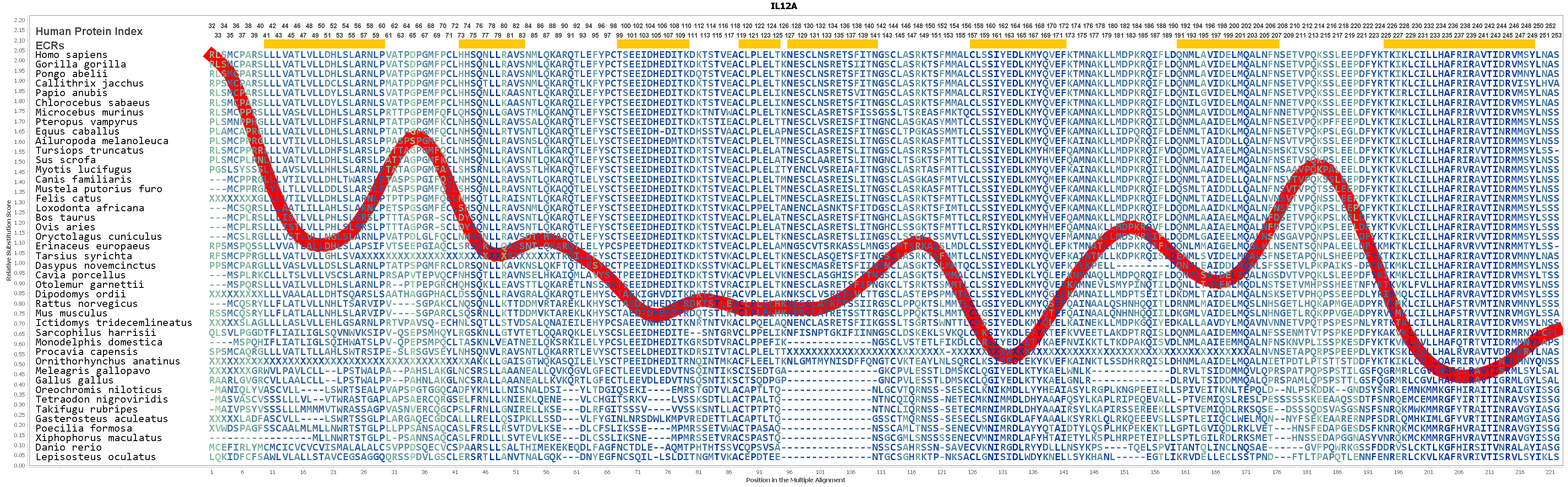 IL12A Gene - GeneCards | IL12A Protein | IL12A Antibody