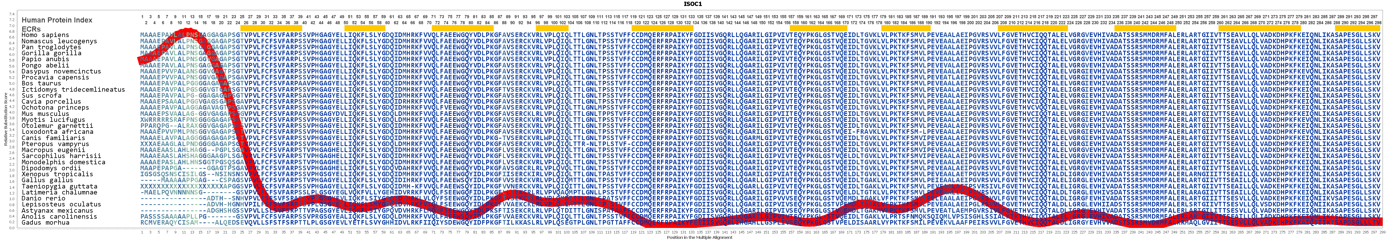 ISOC1 Gene - GeneCards | ISOC1 Protein | ISOC1 Antibody