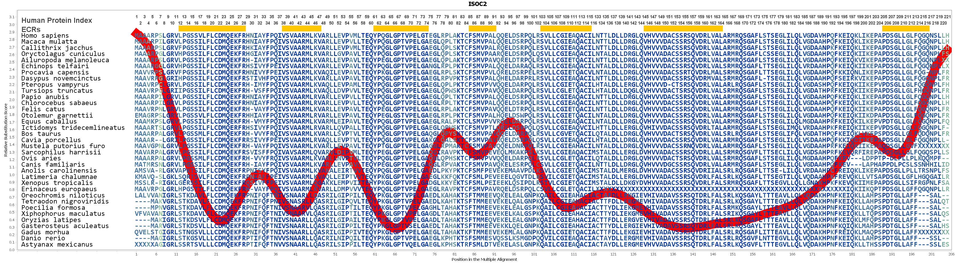 ISOC2 Gene - GeneCards | ISOC2 Protein | ISOC2 Antibody