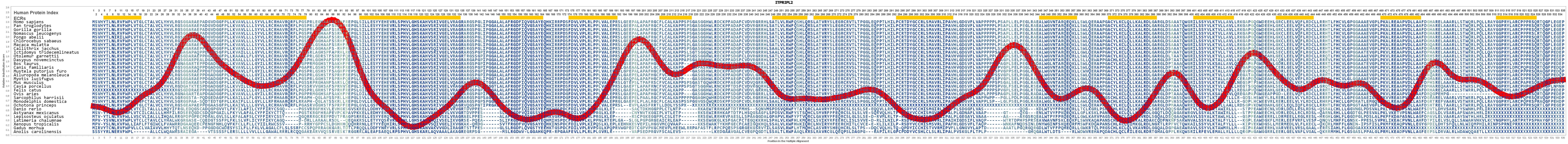 ITPRIPL2 Gene - GeneCards | IPIL2 Protein | IPIL2 Antibody