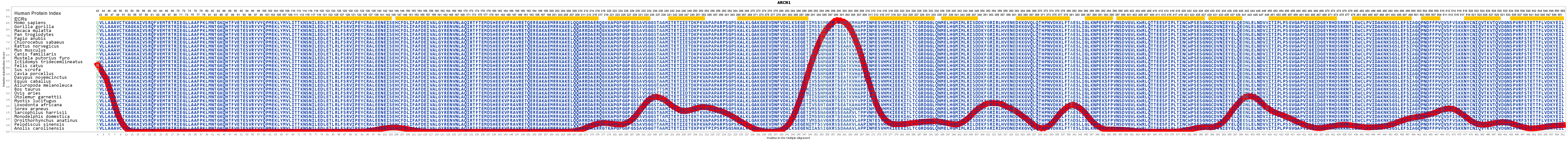 ARCN1 Gene - GeneCards | COPD Protein | COPD Antibody