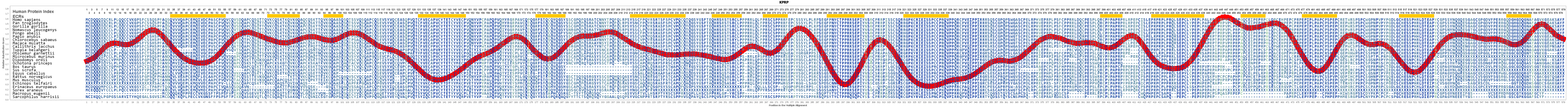 KPRP Gene - GeneCards | KPRP Protein | KPRP Antibody