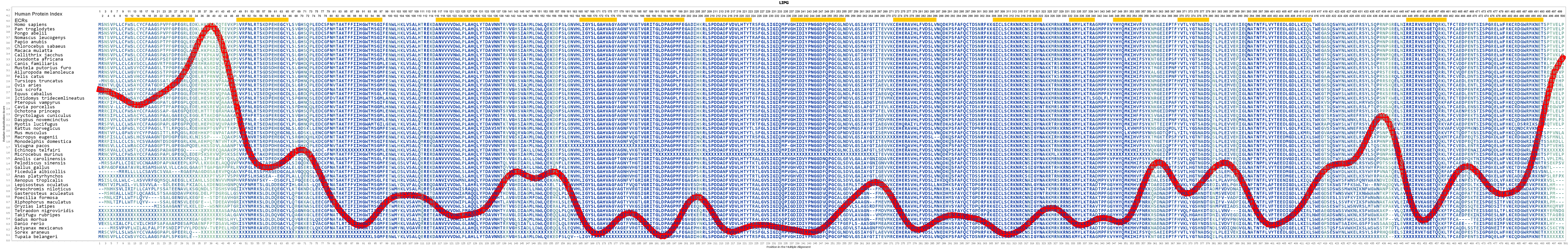 LIPG Gene - GeneCards | LIPE Protein | LIPE Antibody