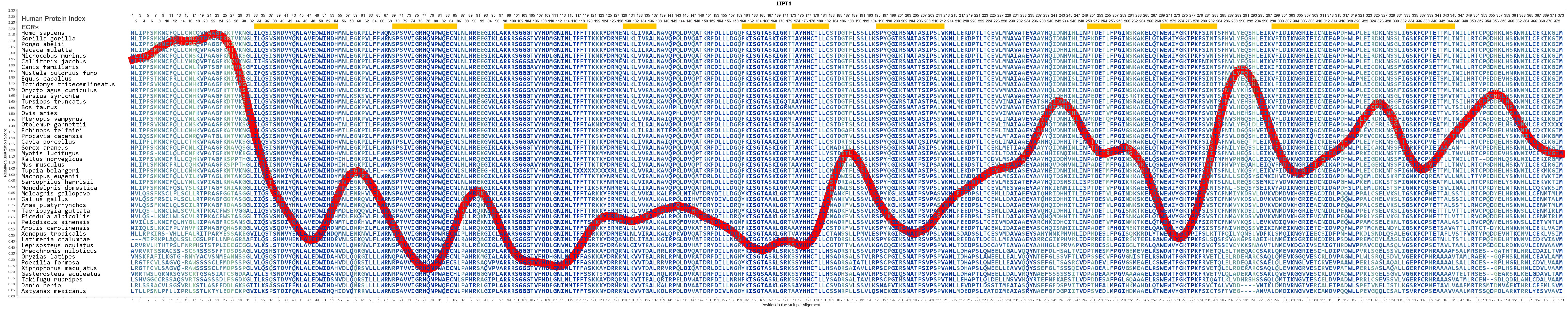LIPT1 Gene - GeneCards | LIPT Protein | LIPT Antibody