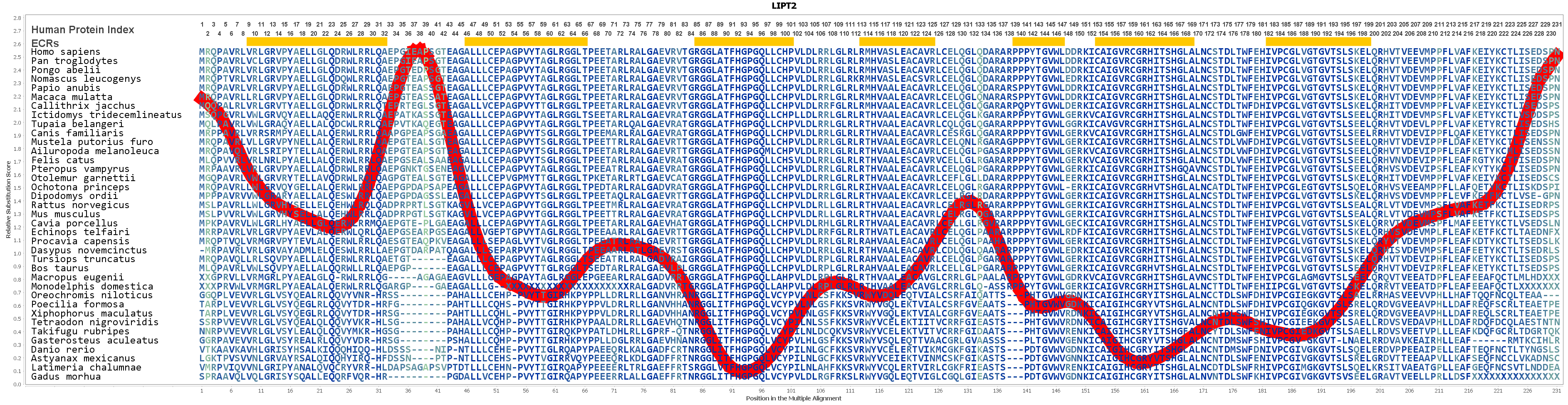 LIPT2 Gene - GeneCards | LIPT2 Protein | LIPT2 Antibody