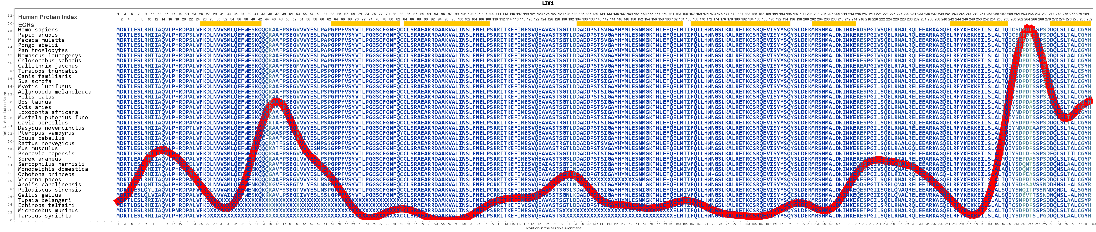 LIX1 Gene - GeneCards | LIX1 Protein | LIX1 Antibody