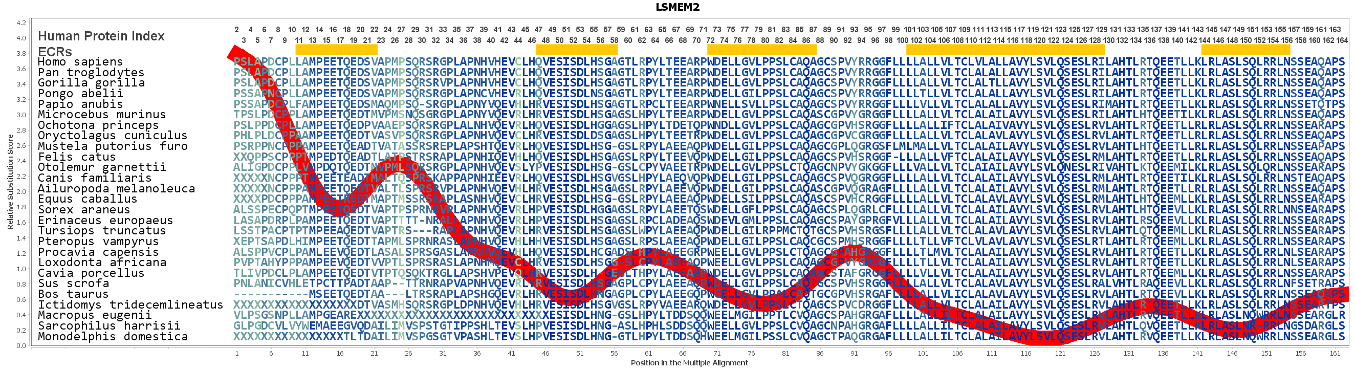 LSMEM2 Gene - GeneCards | LSME2 Protein | LSME2 Antibody