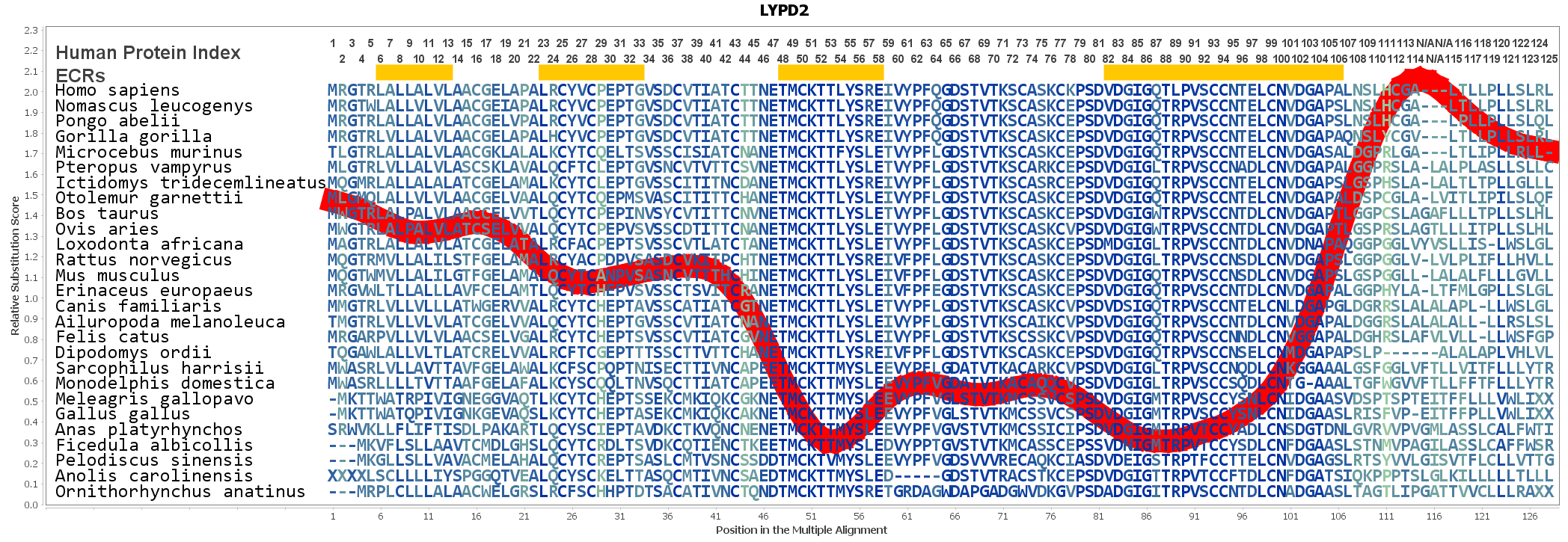 LYPD2 Gene - GeneCards | LYPD2 Protein | LYPD2 Antibody