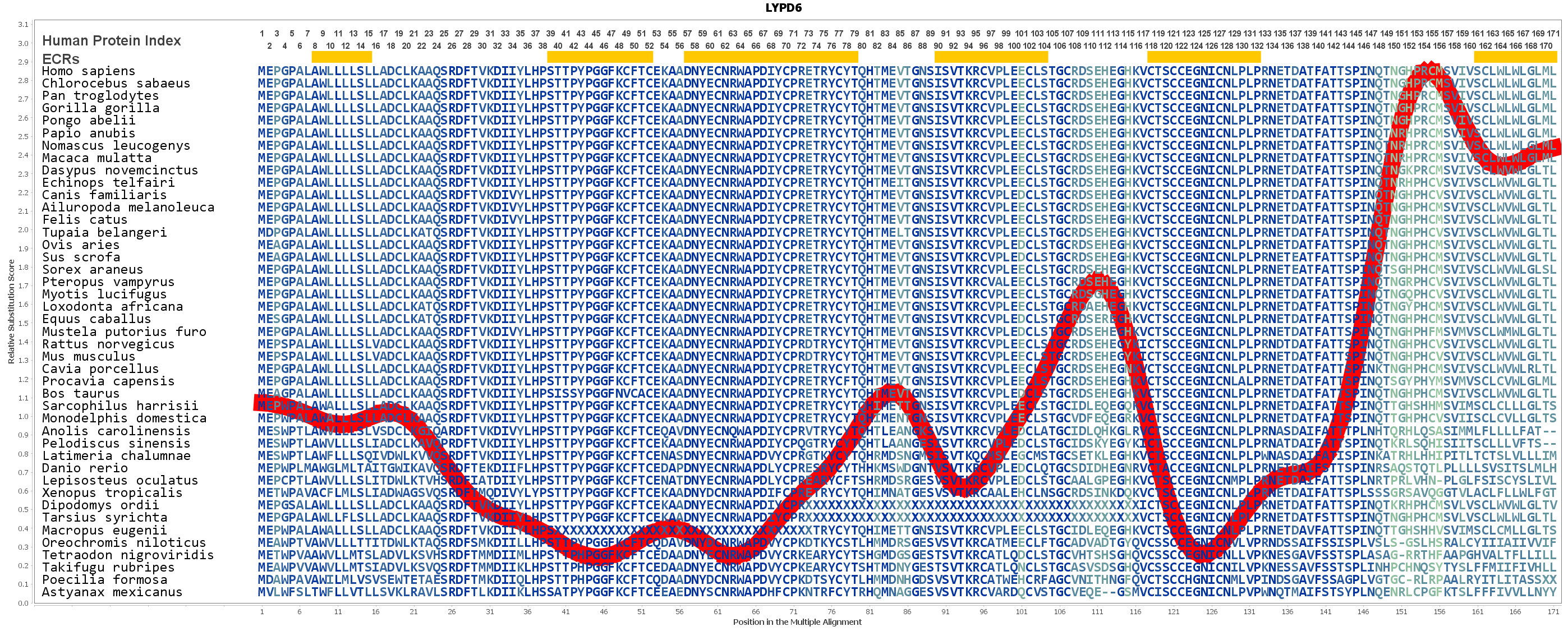 LYPD6 Gene - GeneCards | LYPD6 Protein | LYPD6 Antibody