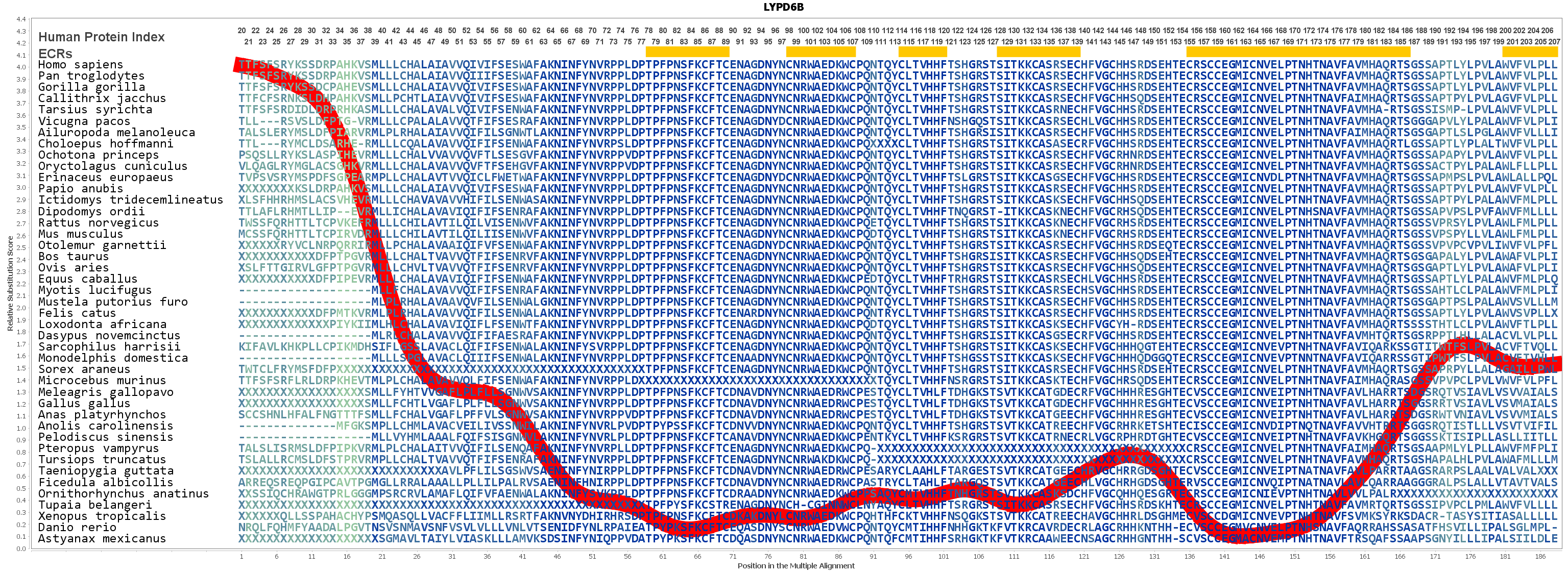 LYPD6B Gene - GeneCards | LPD6B Protein | LPD6B Antibody