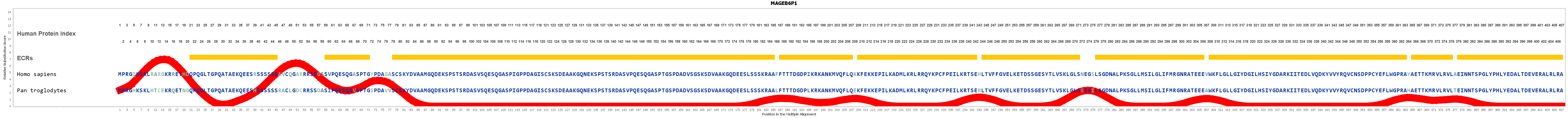 MAGEB6B Gene - GeneCards | MAB6B Protein | MAB6B Antibody