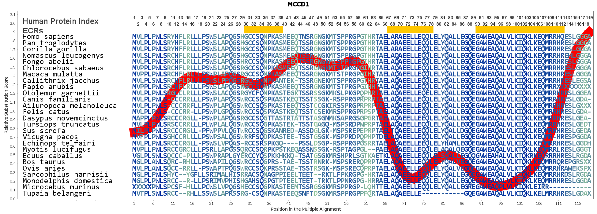 MCCD1 Gene - GeneCards | MCCD1 Protein | MCCD1 Antibody