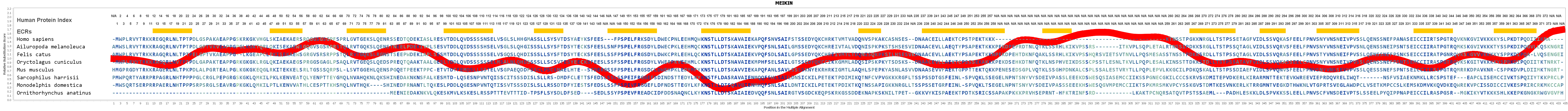 MEIKIN Gene - GeneCards | MEIKN Protein | MEIKN Antibody