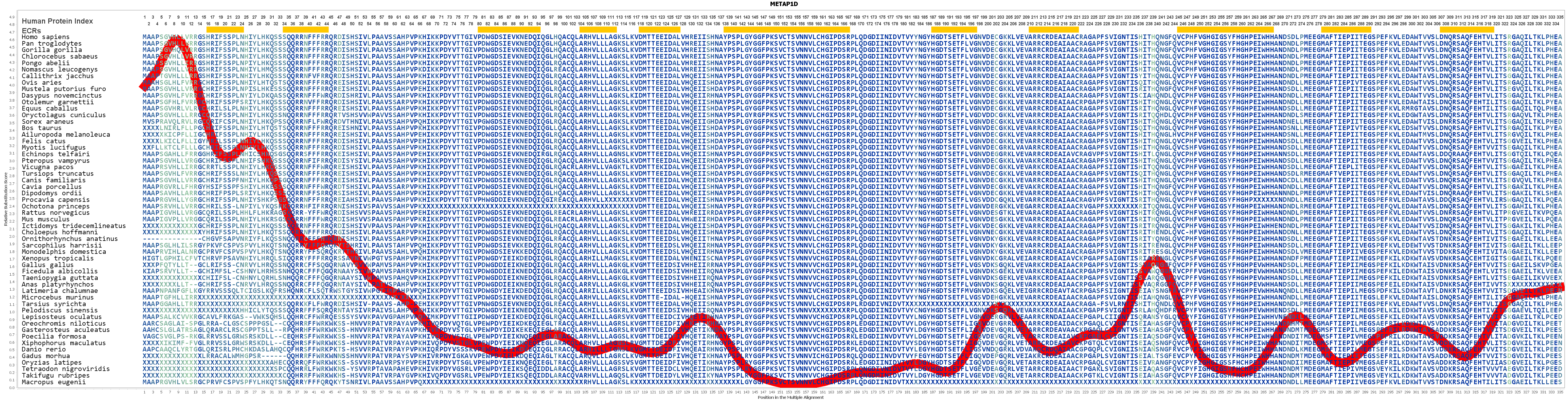 METAP1D Gene - GeneCards | MAP12 Protein | MAP12 Antibody