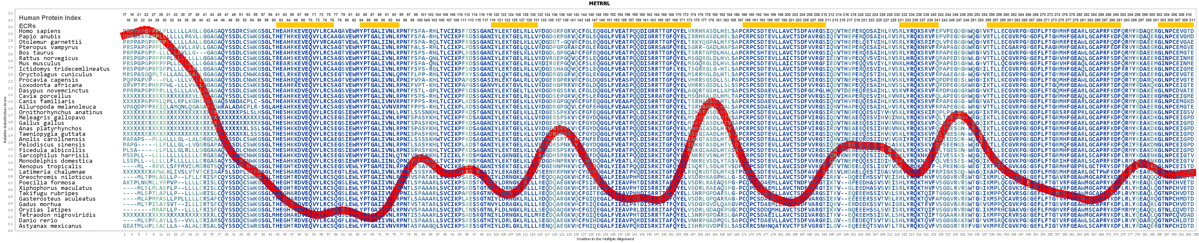 METRNL Gene - GeneCards | METRL Protein | METRL Antibody