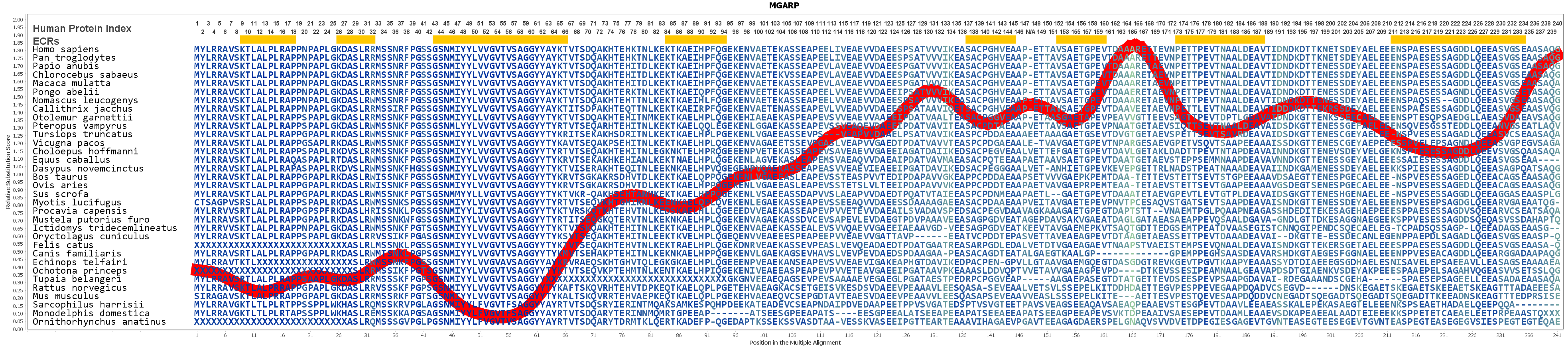 MGARP Gene - GeneCards | HUMMR Protein | HUMMR Antibody