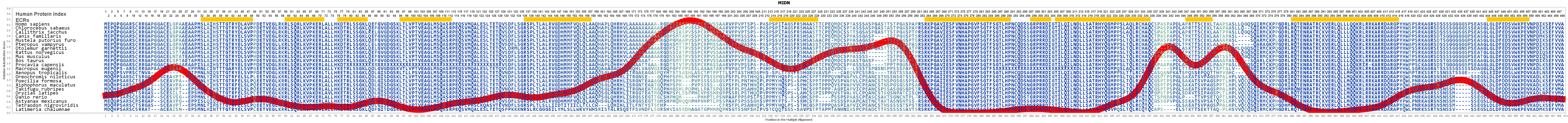 MIDN Gene - GeneCards | MIDN Protein | MIDN Antibody
