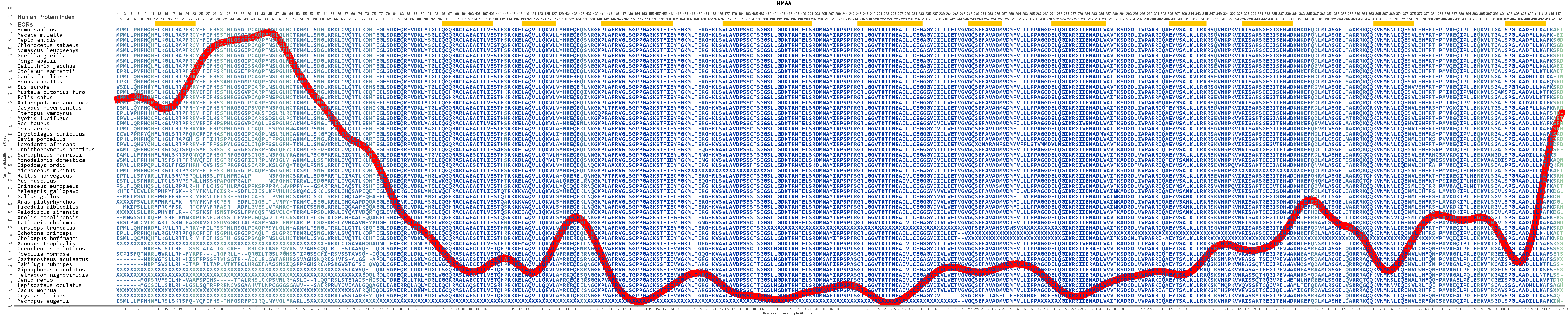 MMAA Gene - GeneCards | MMAA Protein | MMAA Antibody