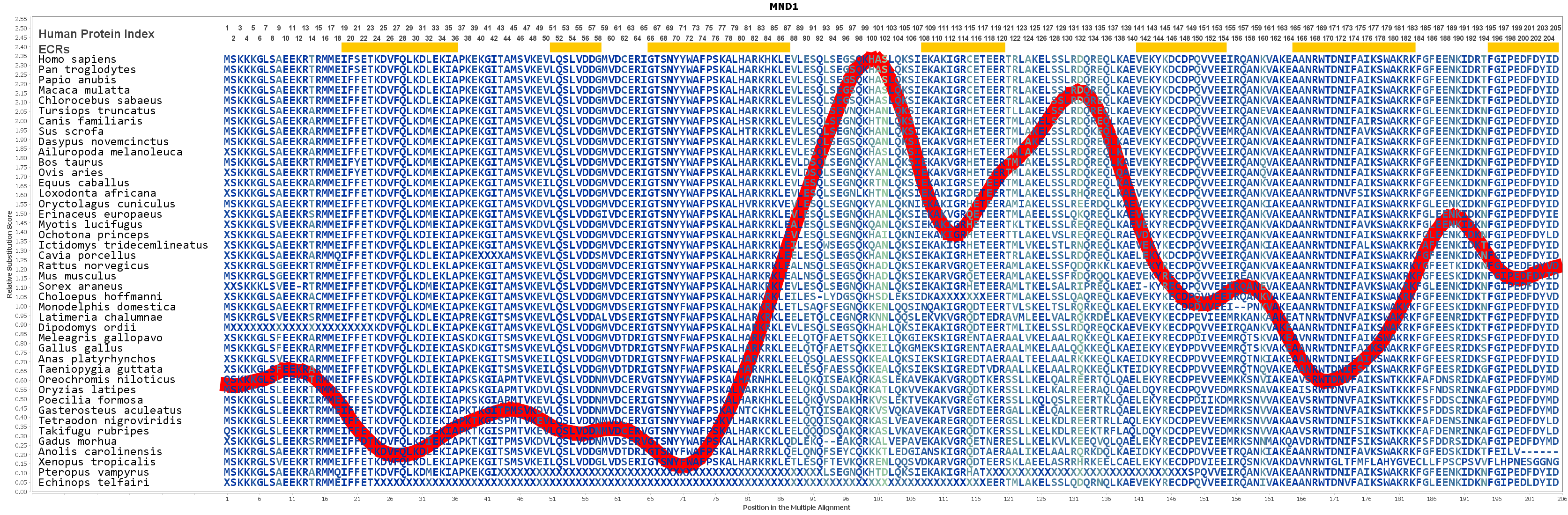 MND1 Gene - GeneCards | MND1 Protein | MND1 Antibody
