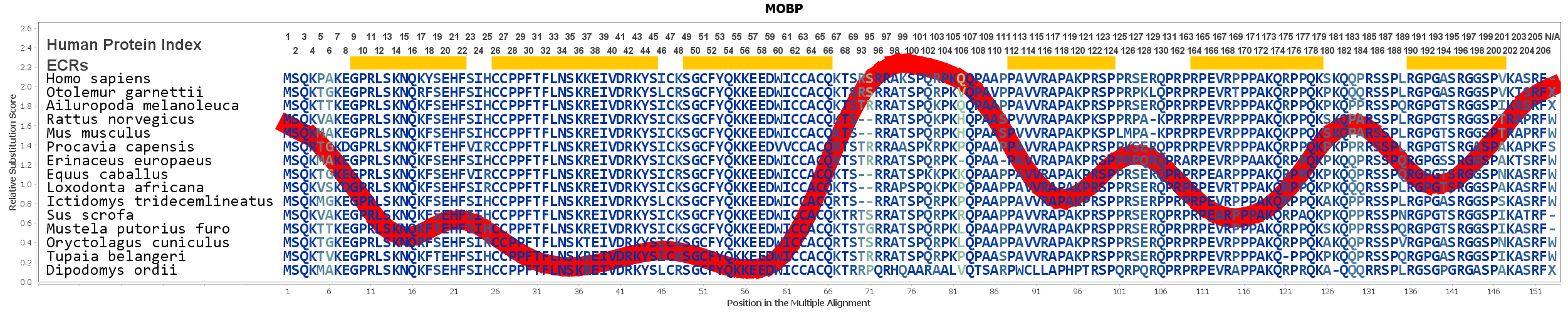 MOBP Gene - GeneCards | MOBP Protein | MOBP Antibody