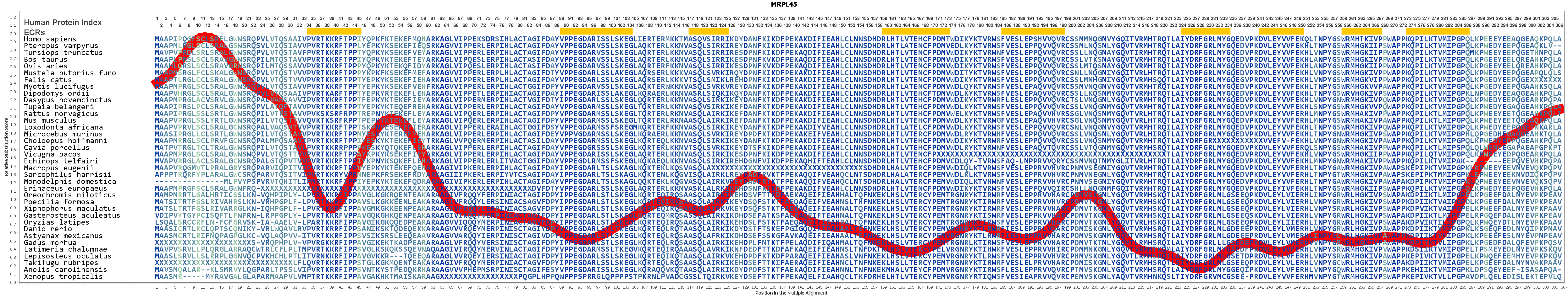 MRPL45 Gene - GeneCards | RM45 Protein | RM45 Antibody