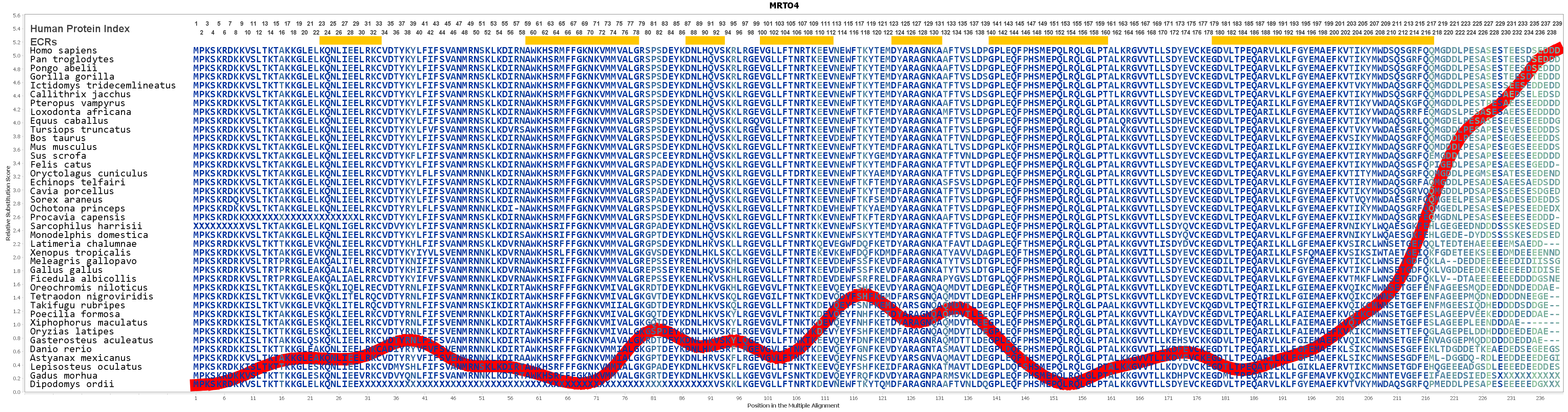MRTO4 Gene - GeneCards | MRT4 Protein | MRT4 Antibody