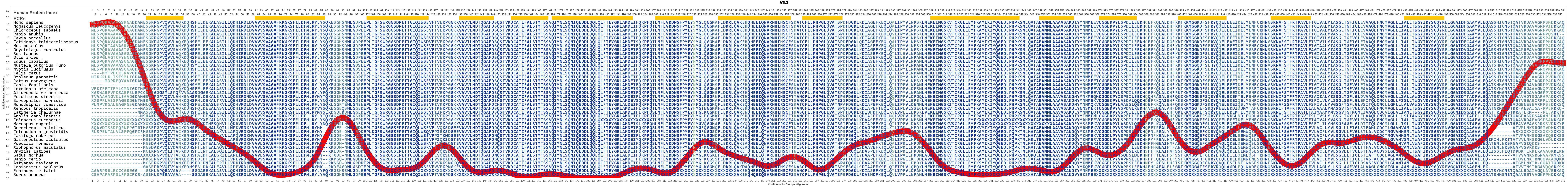 ATL3 Gene - GeneCards | ATLA3 Protein | ATLA3 Antibody