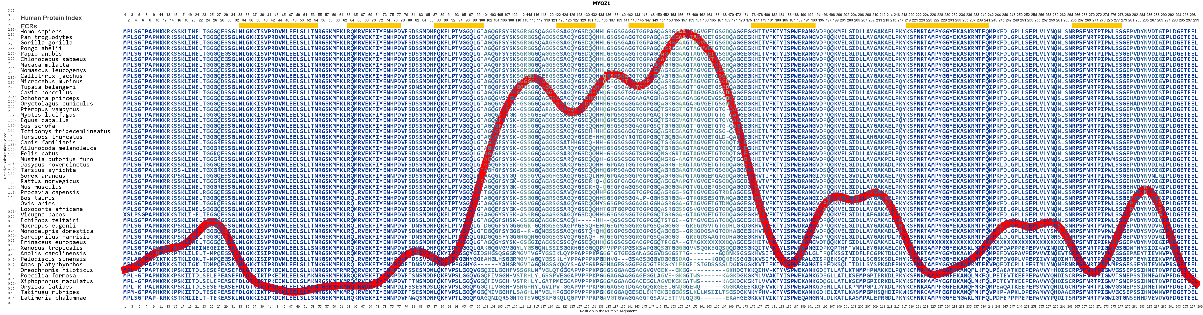 MYOZ1 Gene - GeneCards | MYOZ1 Protein | MYOZ1 Antibody